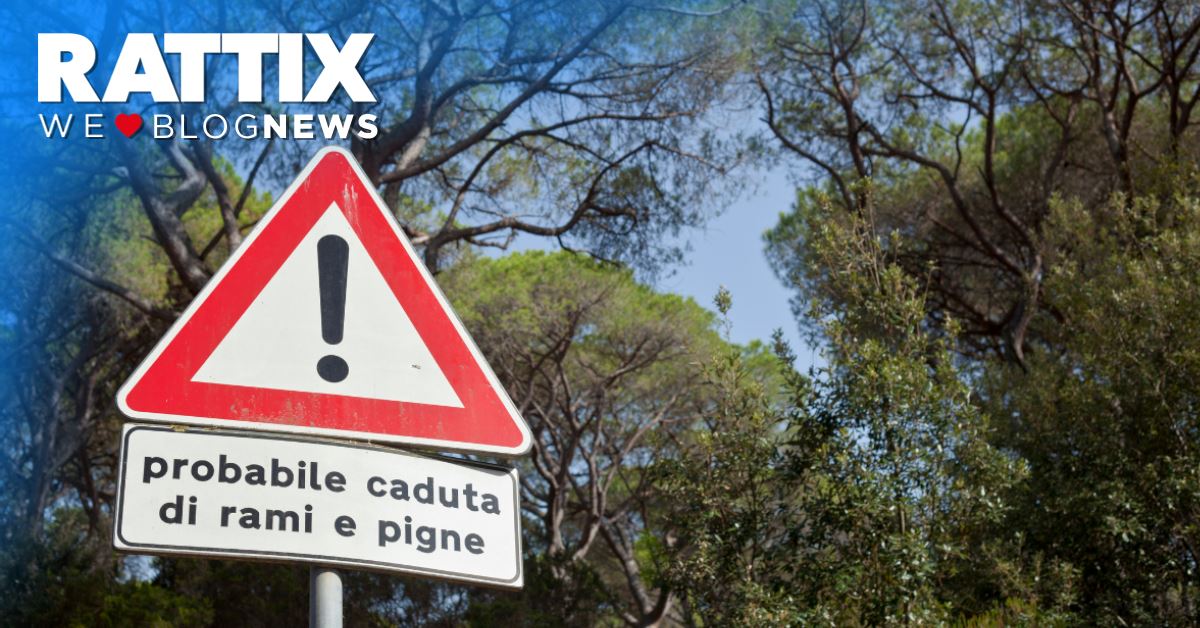 Segnali di pericolo: quali sono e come riconoscerli? | Auto Rattix