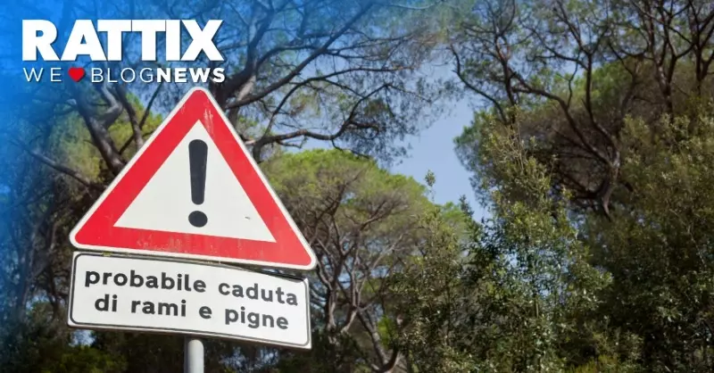 Segnali di pericolo: quali sono e come riconoscerli? | Auto Rattix